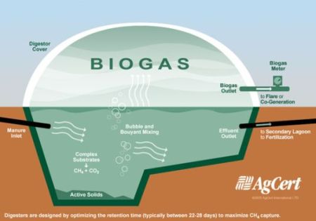 Biogas plants cut environmental pollution - Ecofriend