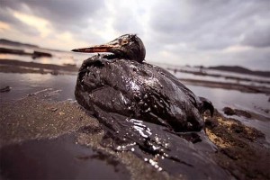 Five worst pollution monsters - Ecofriend