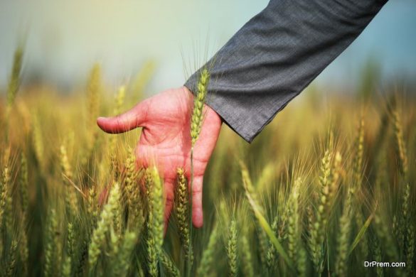 Unique agricultural methods that have a low impact on the environment ...