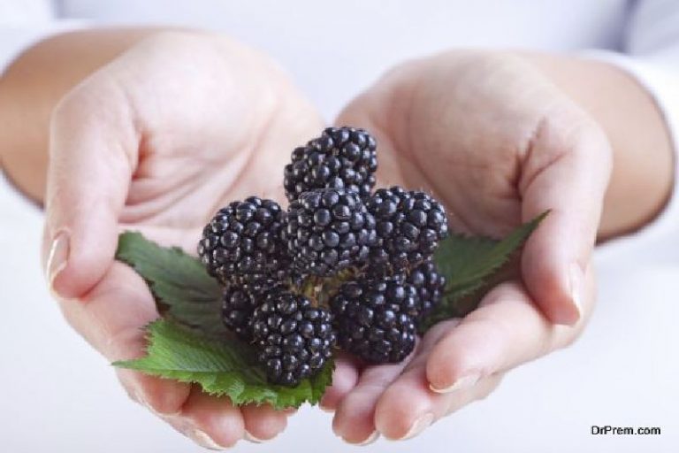 Organic Food Vs Processed Food: How Are They Different? - Ecofriend