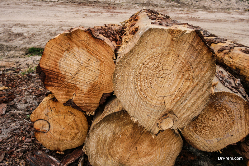 Complete beginner’s guide to buying sustainable wood - Ecofriend