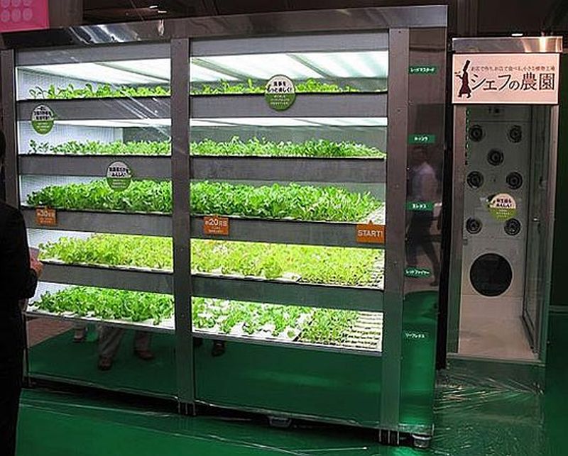 Solar energy powers awesome vending machines - Ecofriend
