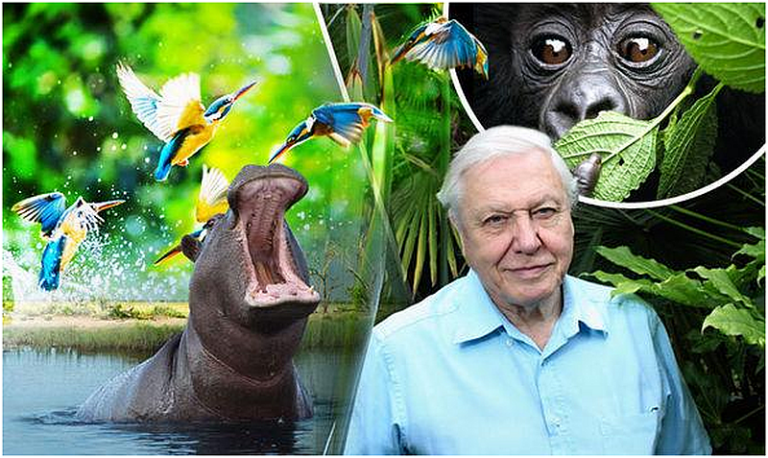 Exploring Earth's Marvels: Must-Watch Ecology Programs on BBC iPlayer ...