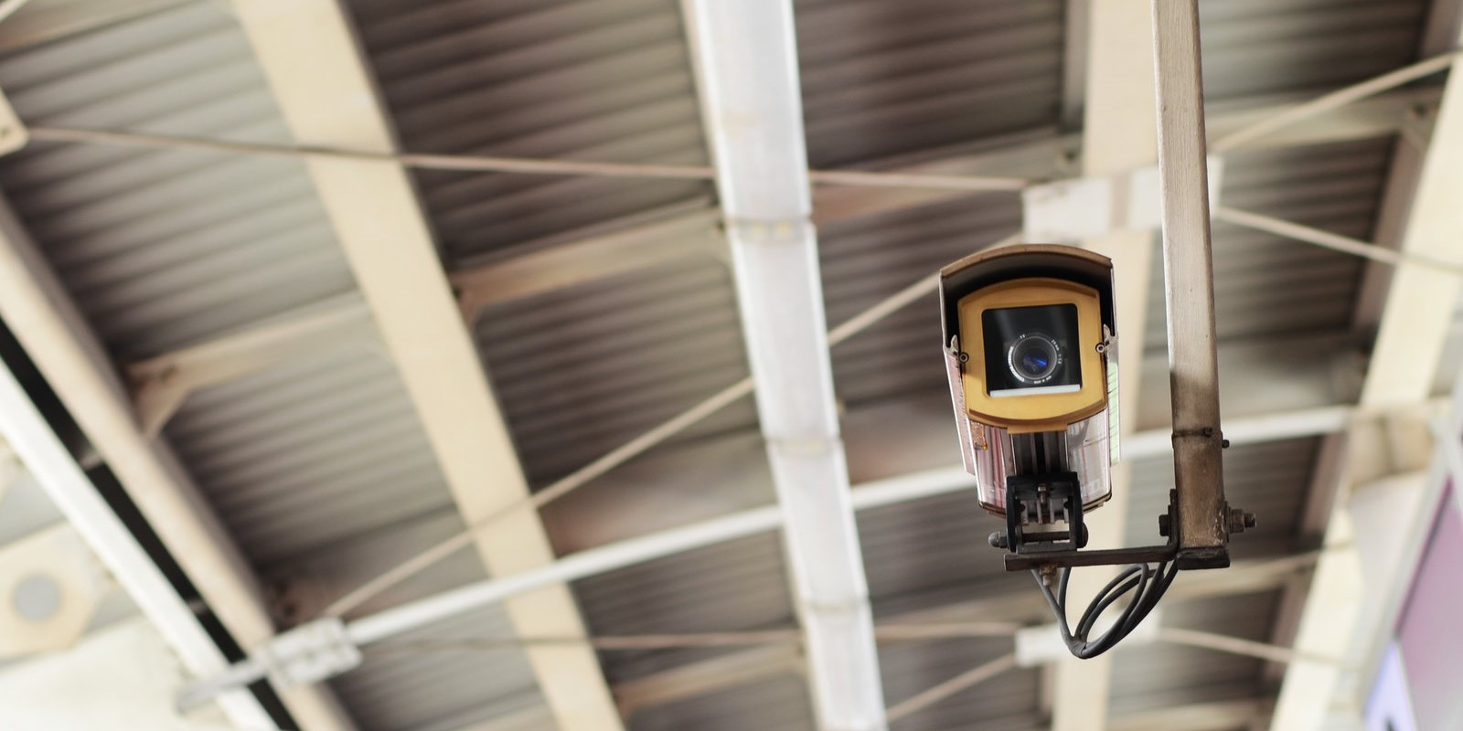 Why Sustainable Security Cameras Are a Smart Business Choice - Ecofriend